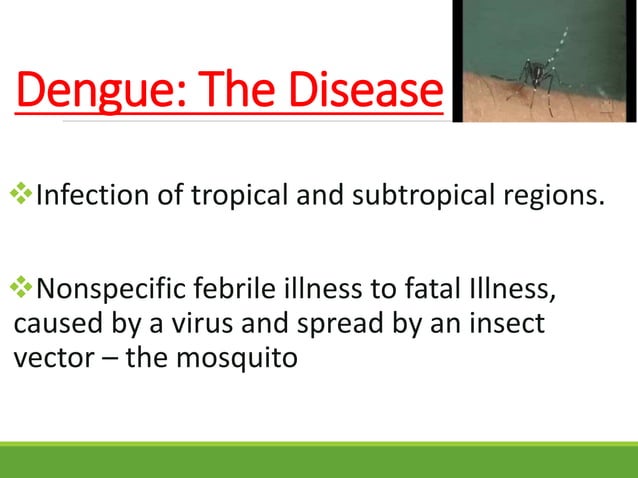 Shubhendra dengue .ppt