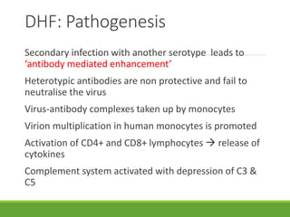 Shubhendra dengue .ppt | Blood Disorders | Diseases and Conditions