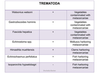 Mycotoxins and food-borne parasites | PPTX