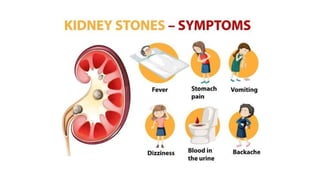 Shujaat Ali Khan Presentation - Urinalysis UTI & Crystalluria.pptx