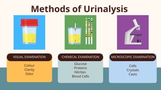 Shujaat Ali Khan Presentation - Urinalysis UTI & Crystalluria.pptx