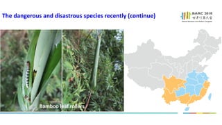 Shu Jinping_Occurrence and Control Strategy of Bamboo Pest in China | PPT