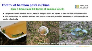 Shu Jinping_Occurrence and Control Strategy of Bamboo Pest in China | PPT