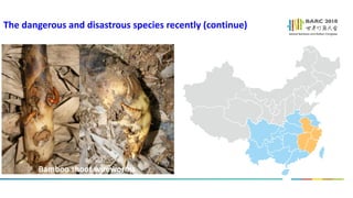 Shu Jinping_Occurrence and Control Strategy of Bamboo Pest in China | PPT