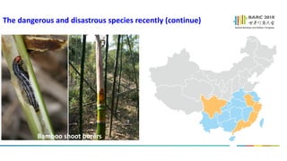 Shu Jinping_Occurrence and Control Strategy of Bamboo Pest in China | PPT