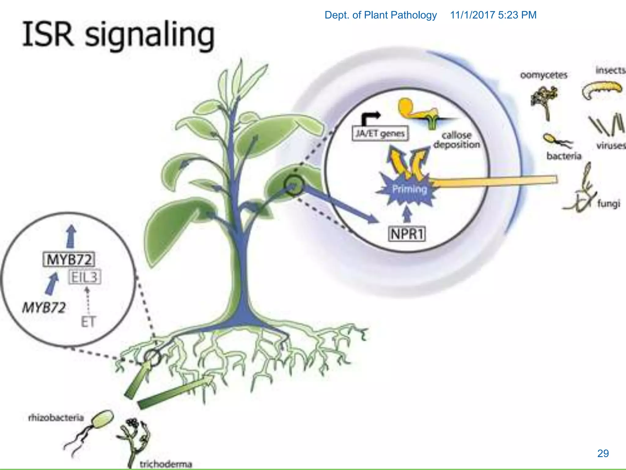 induce systemic resistance | PPTX