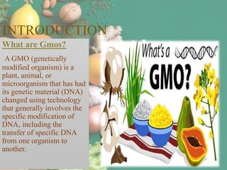 GENETICALLY MODIFIED ORGANISM'S PRESENTATION.ppt