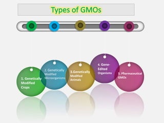 GENETICALLY MODIFIED ORGANISM'S PRESENTATION.ppt