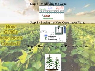 GENETICALLY MODIFIED ORGANISM'S PRESENTATION.ppt