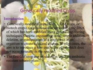 GENETICALLY MODIFIED ORGANISM'S PRESENTATION.ppt