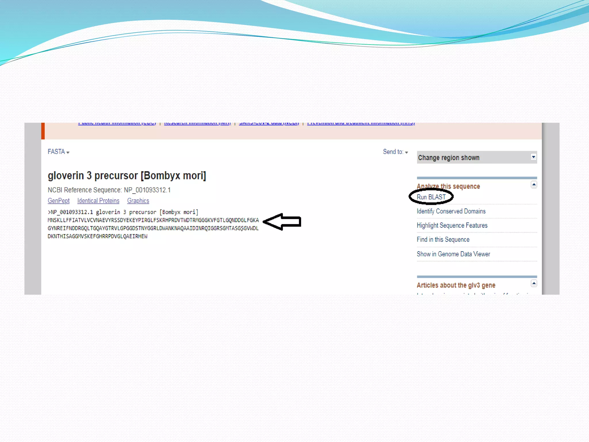 Multiple Alignment Sequence using Clustal Omega/ Shumaila Riaz | PPTX