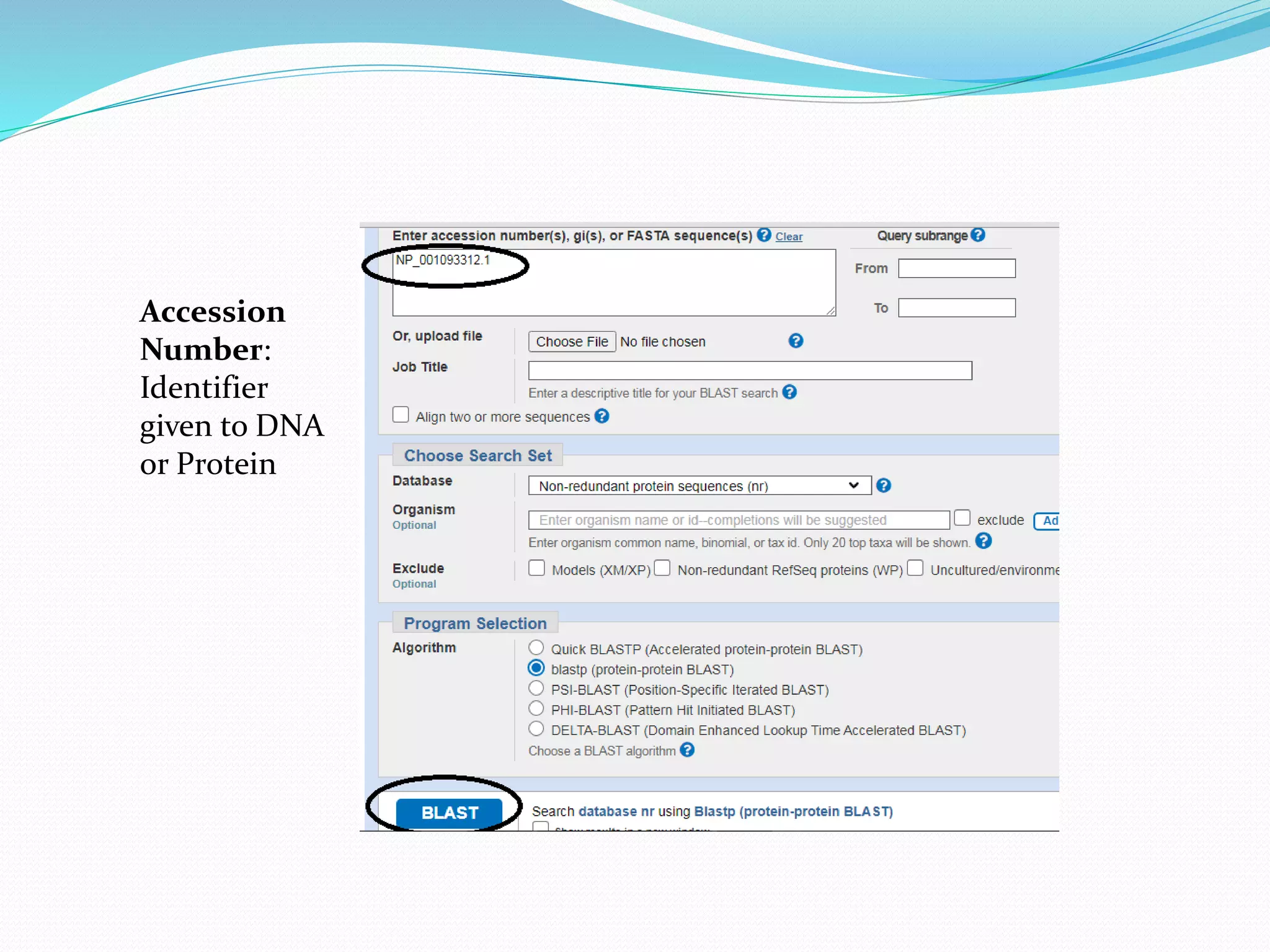 Multiple Alignment Sequence using Clustal Omega/ Shumaila Riaz | PPTX