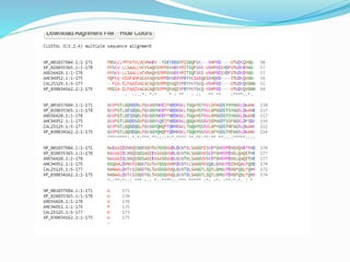 Multiple Alignment Sequence using Clustal Omega/ Shumaila Riaz | PPTX