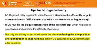 Sunsuke Matsuno: Intracoronary imaging guidance in CTO practice | PDF ...