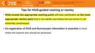 Sunsuke Matsuno: Intracoronary imaging guidance in CTO practice | PDF ...