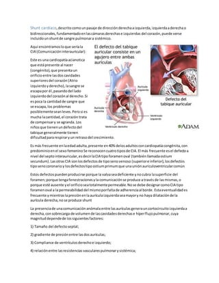 Shunt -uniandes- martin paredes ortega | DOCX