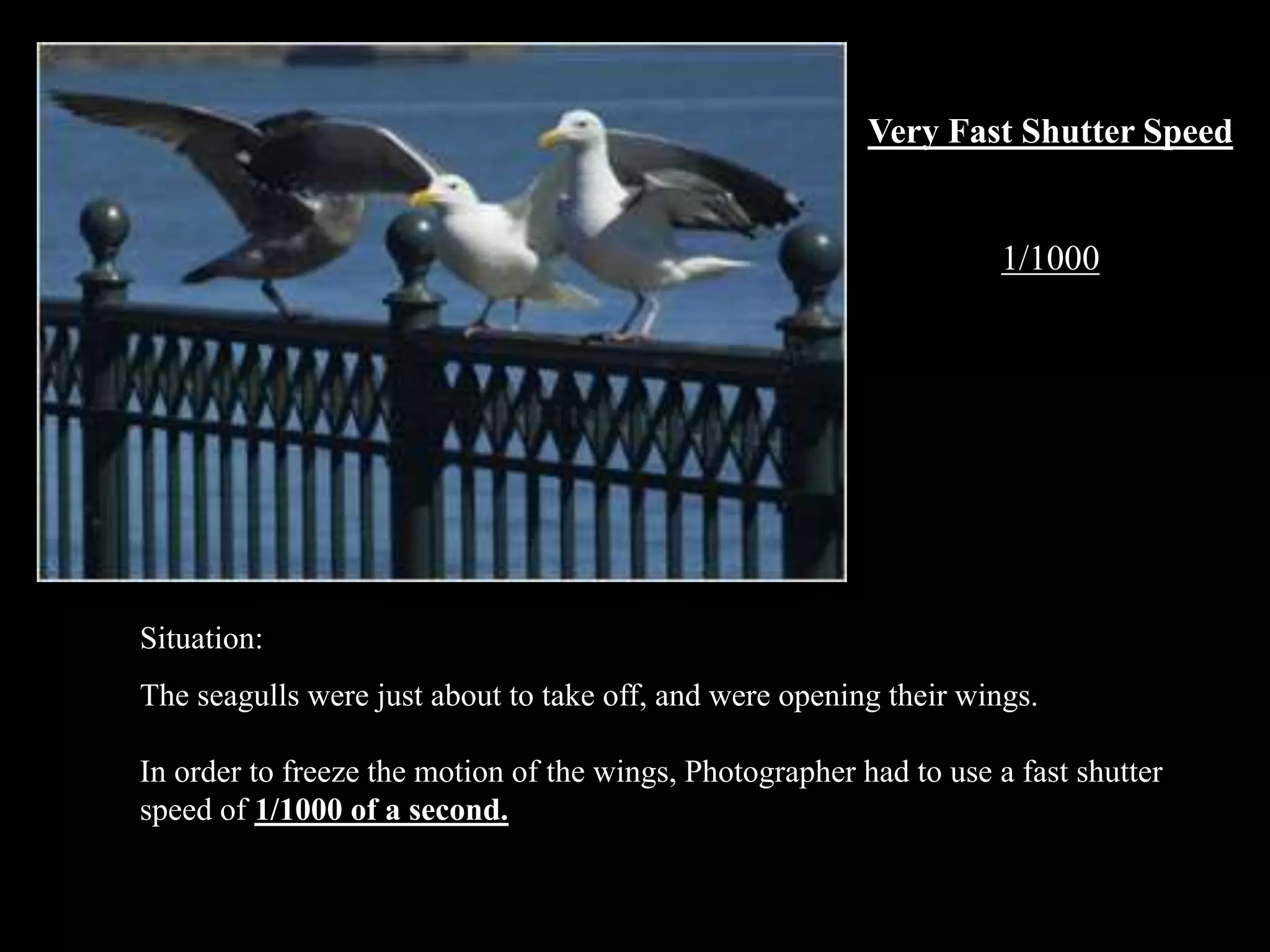 Shutterspeed | PPT | Free Download