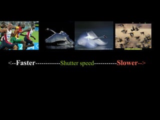 Shutterspeed | PPT