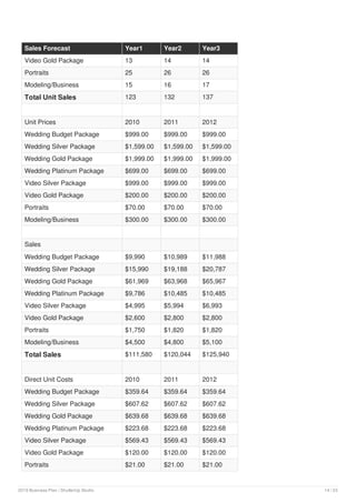 Photography business plan example | PDF