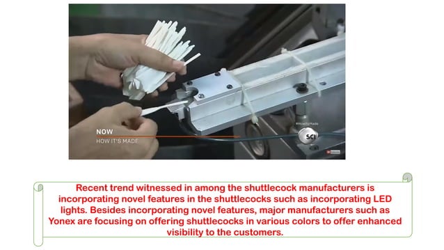 Shuttlecock | PDF | Infectious Diseases | Diseases and Conditions