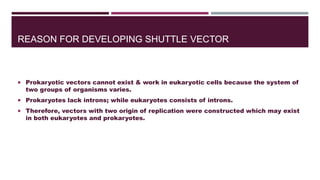 Shuttle vector - a plasmid vector used in rDNA technology. | PPTX