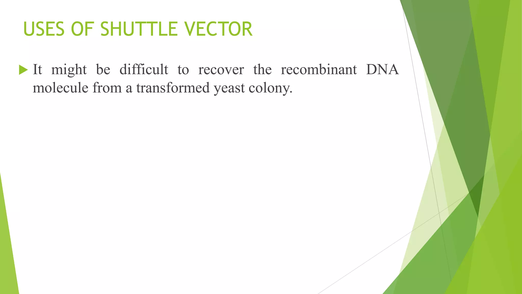 shuttle vectors ppts.pptx