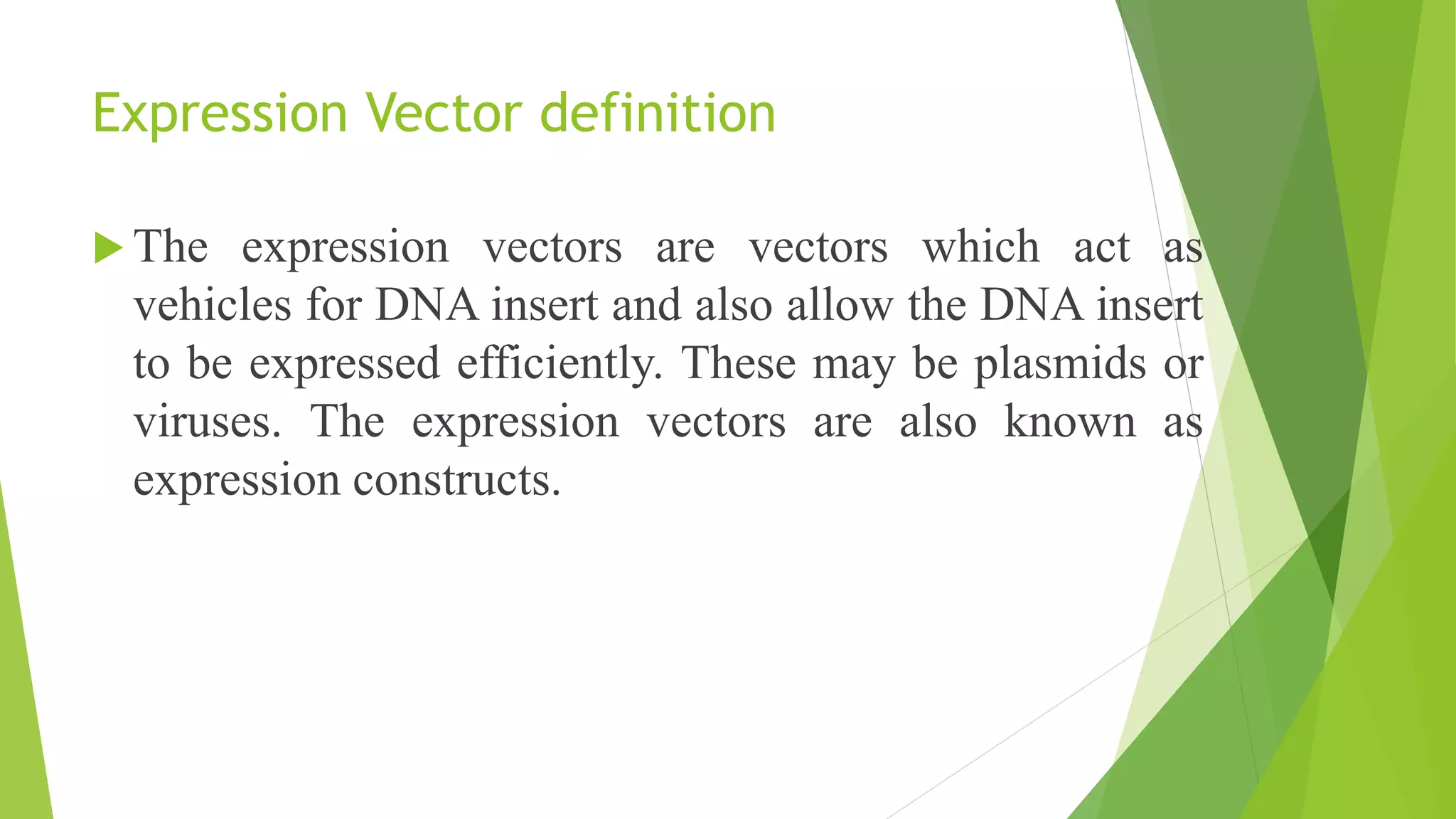 shuttle vectors ppts.pptx