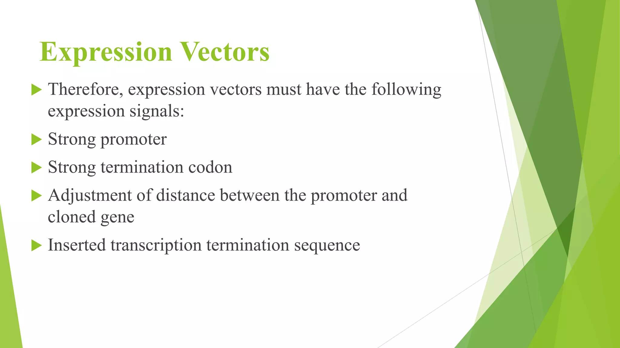 shuttle vectors ppts.pptx