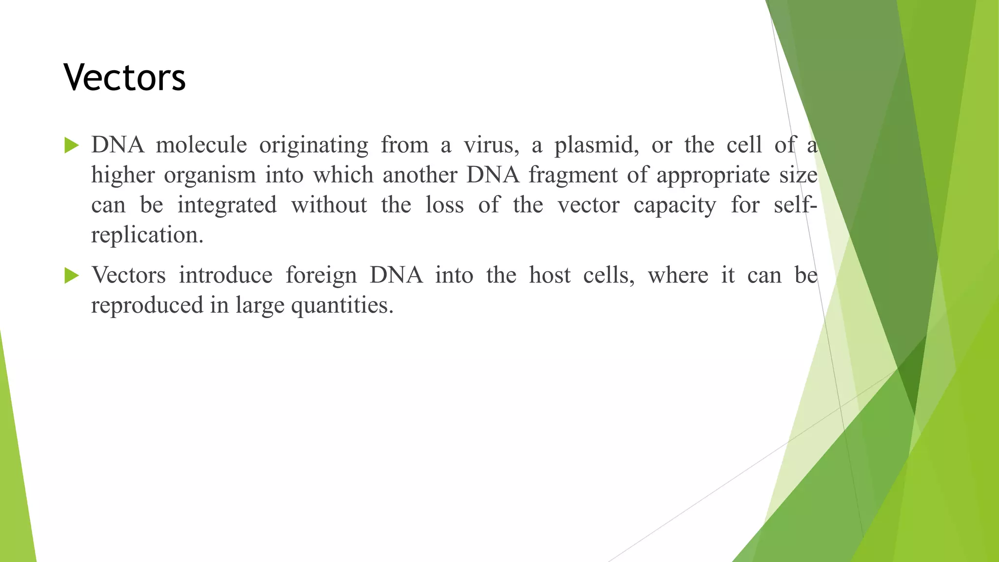 shuttle vectors ppts.pptx