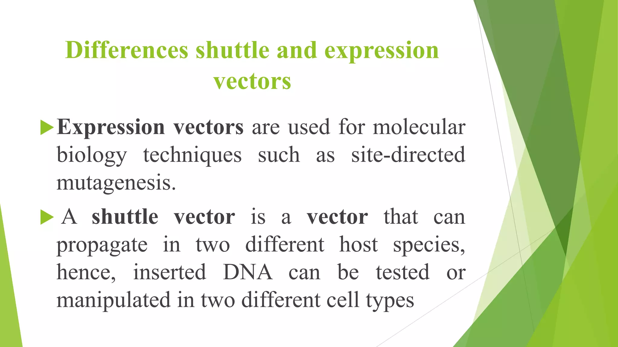 shuttle vectors ppts.pptx