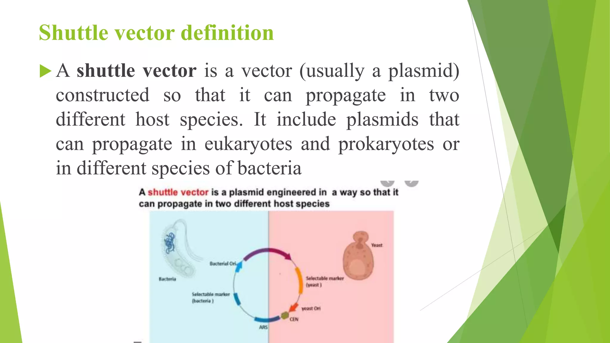 shuttle vectors ppts.pptx