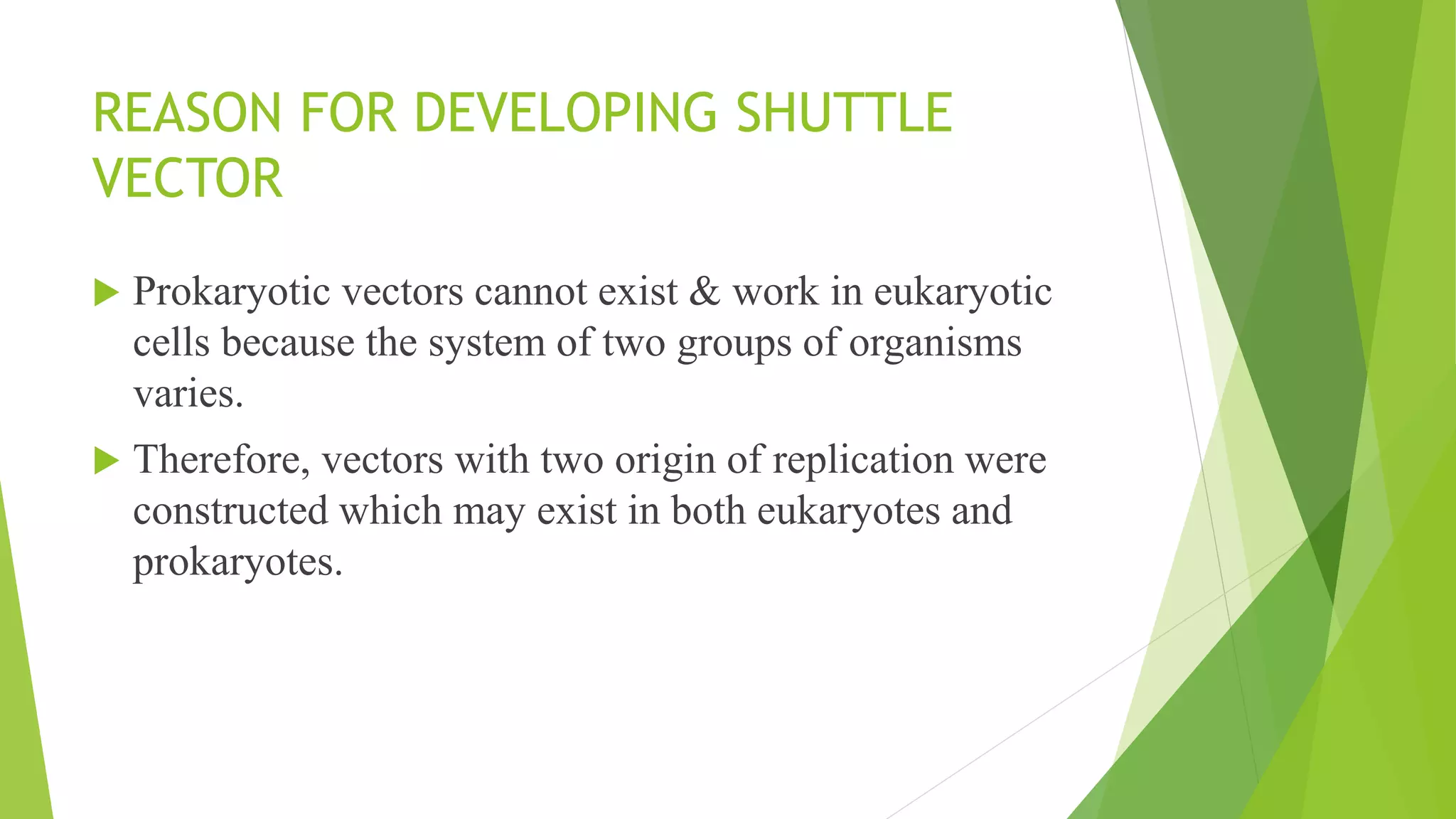 shuttle vectors ppts.pptx