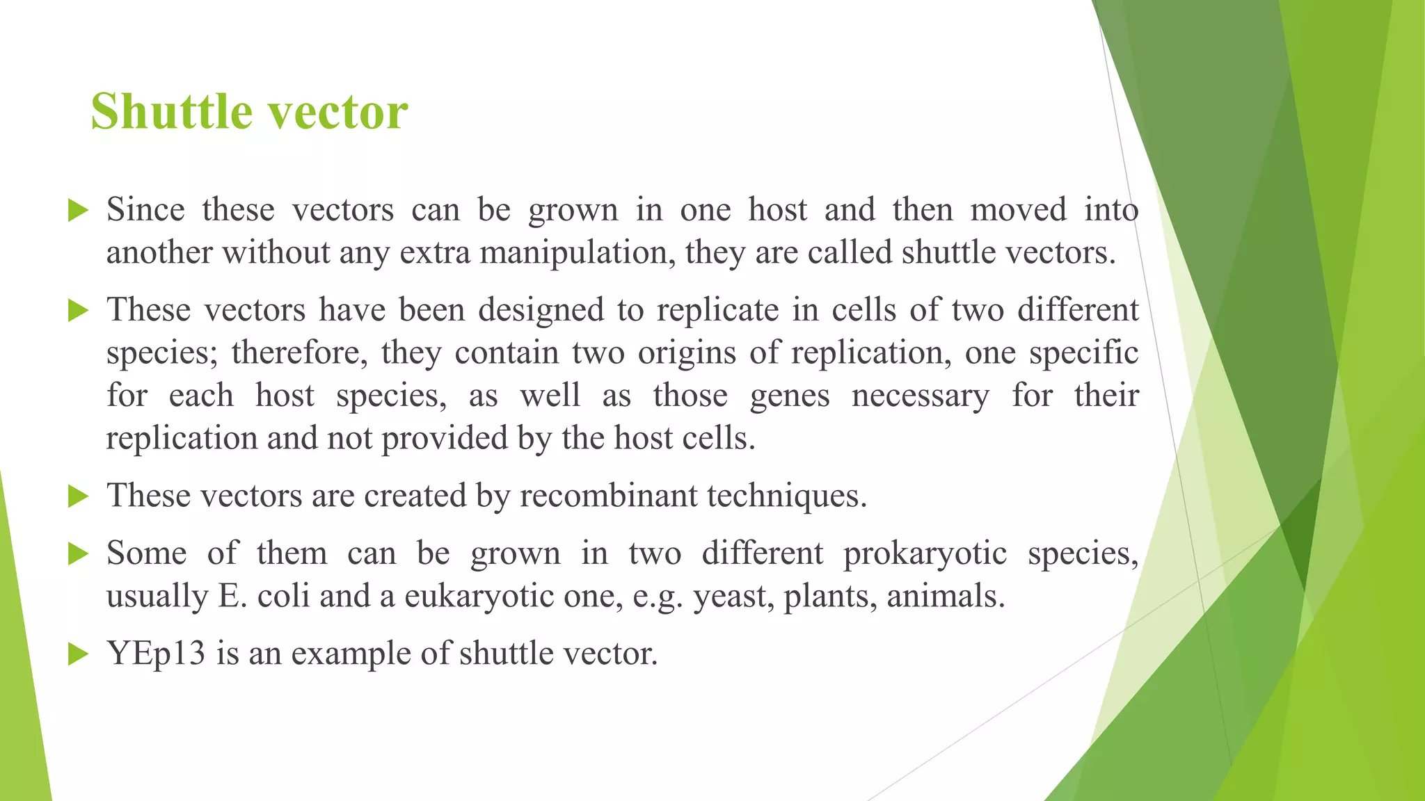 shuttle vectors ppts.pptx