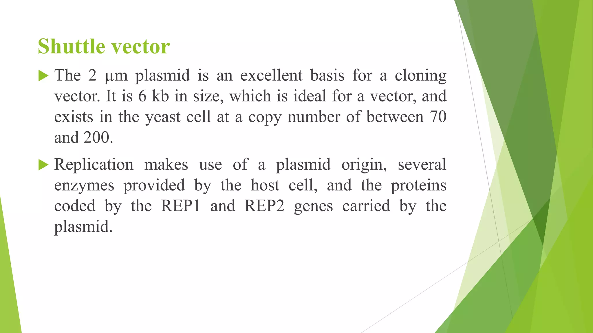 shuttle vectors ppts.pptx