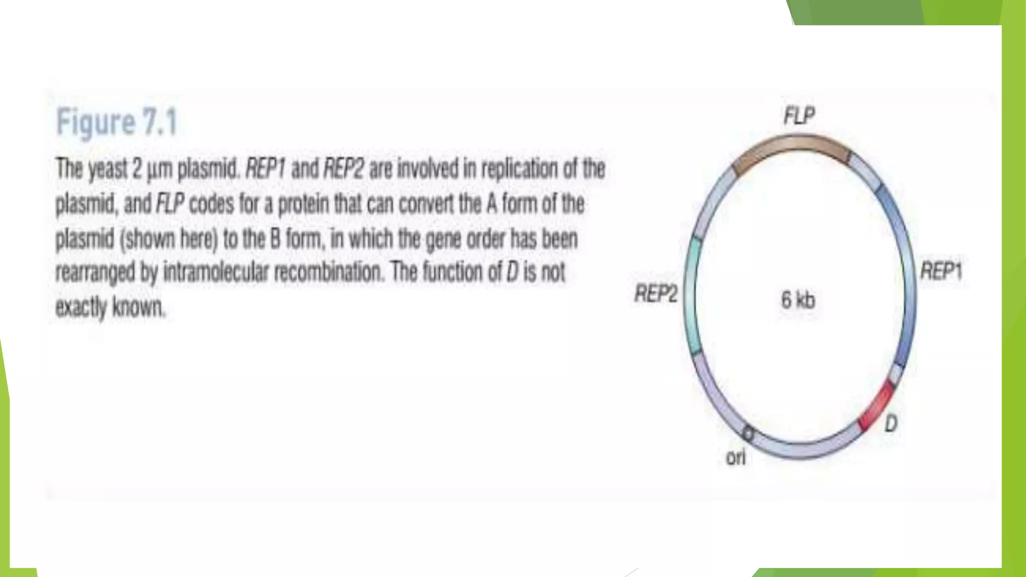 shuttle vectors ppts.pptx