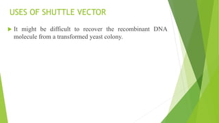 shuttle vectors ppts.pptx
