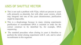 shuttle vectors ppts.pptx