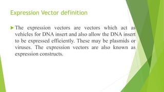 shuttle vectors ppts.pptx