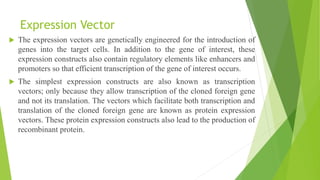 shuttle vectors ppts.pptx