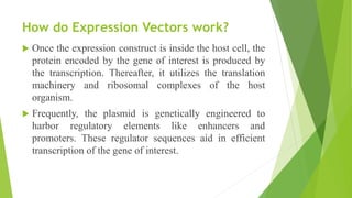 shuttle vectors ppts.pptx