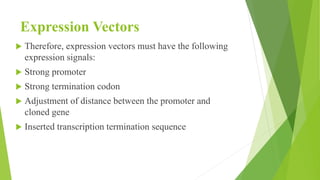 shuttle vectors ppts.pptx