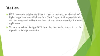 shuttle vectors ppts.pptx