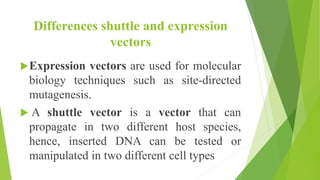 shuttle vectors ppts.pptx