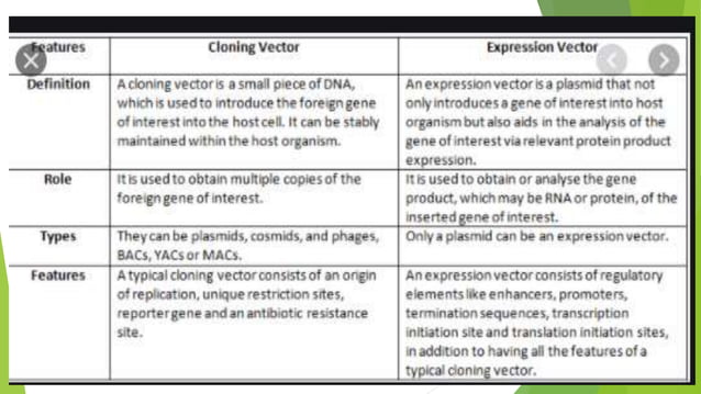shuttle vectors ppts.pptx
