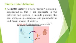 shuttle vectors ppts.pptx