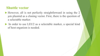 shuttle vectors ppts.pptx