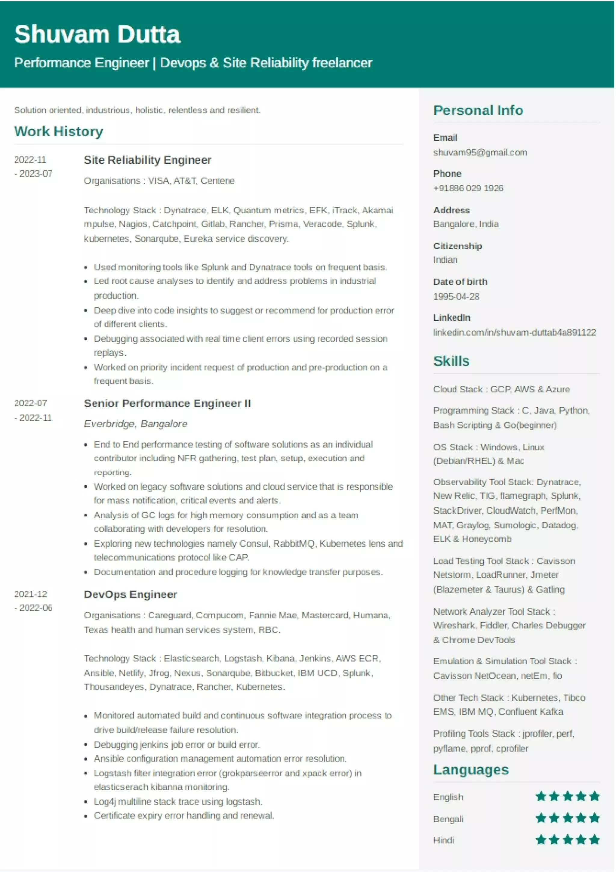 Professional Resume | PDF