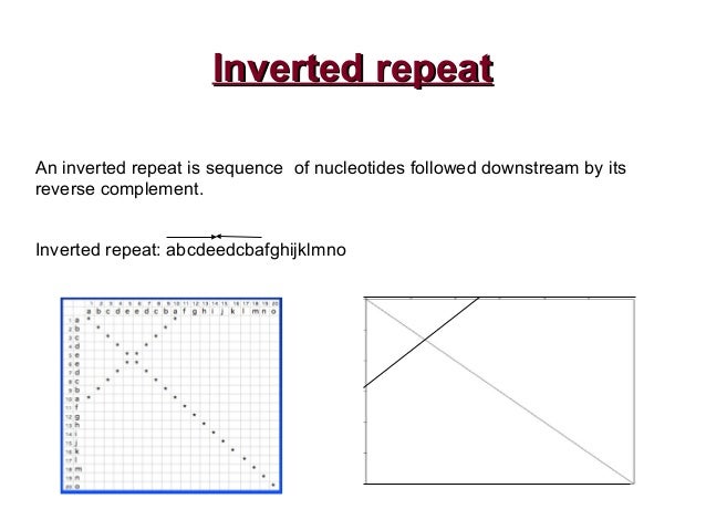 dot plot analysis