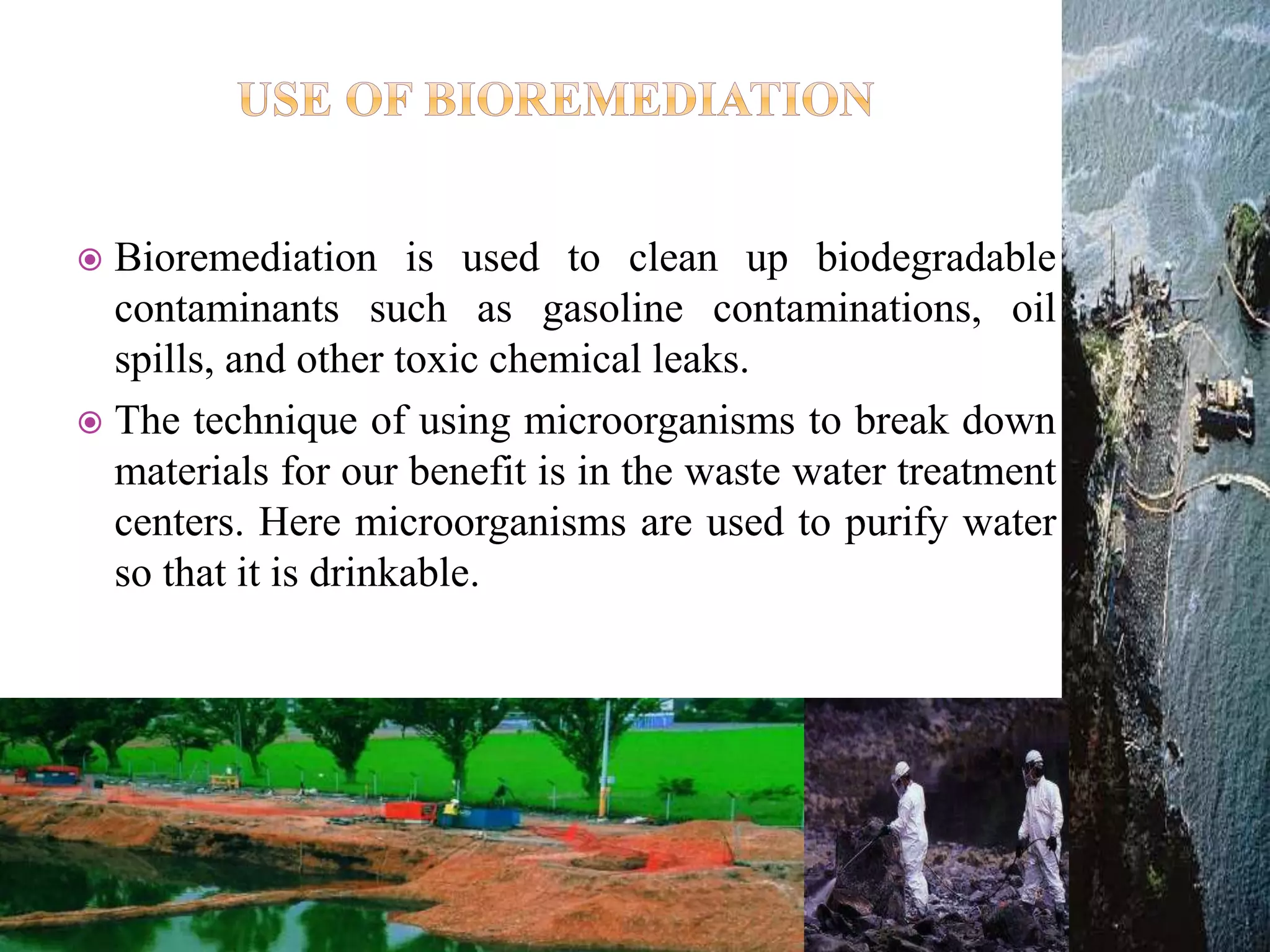 Bioremidiation | PPTX