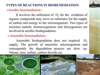 Bioremidiation | PPTX